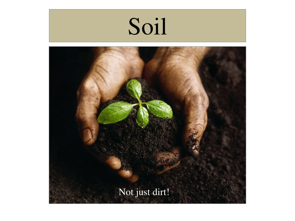 PPT - Soil PowerPoint Presentation, free download - ID:9146031