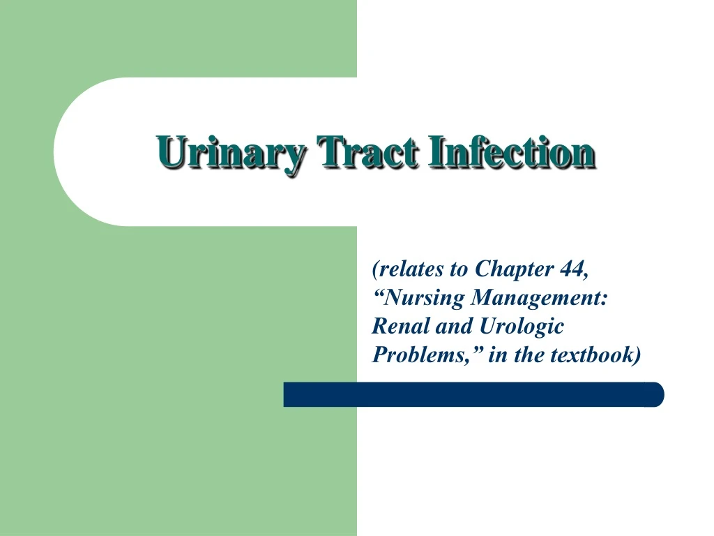 PPT - Urinary Tract Infection PowerPoint Presentation, free download ...