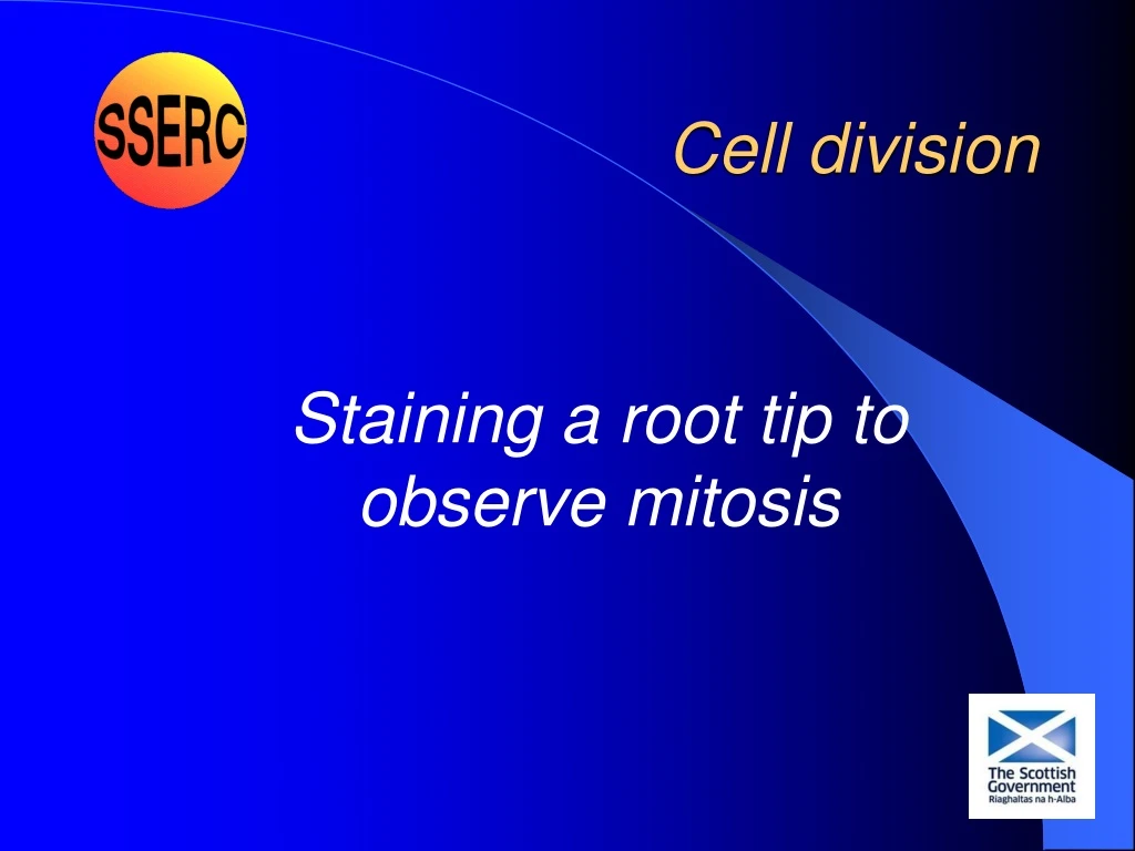 PPT - Cell division PowerPoint Presentation, free download - ID:9152211