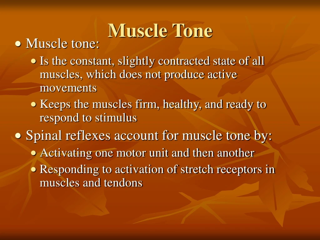 PPT - Muscle Tone PowerPoint Presentation, free download - ID:9152799