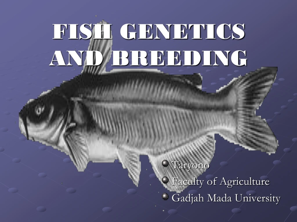PPT - FISH GENETICS AND BREEDING PowerPoint Presentation, free download ...