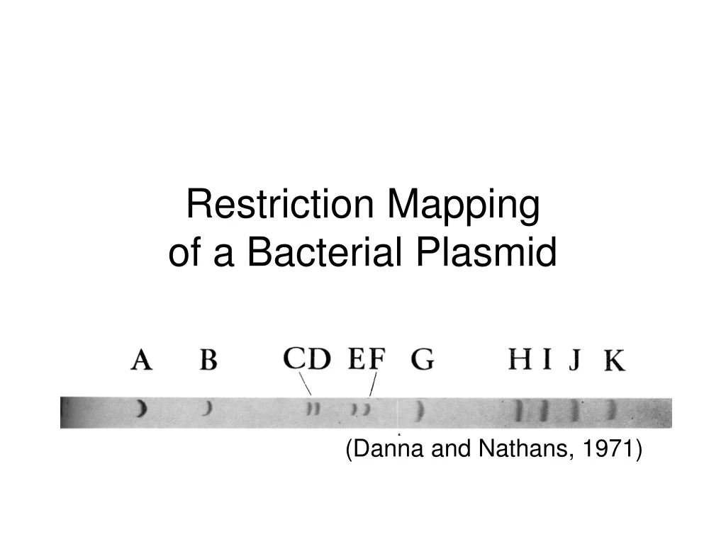 PPT - Restriction Mapping of a Bacterial Plasmid PowerPoint ...