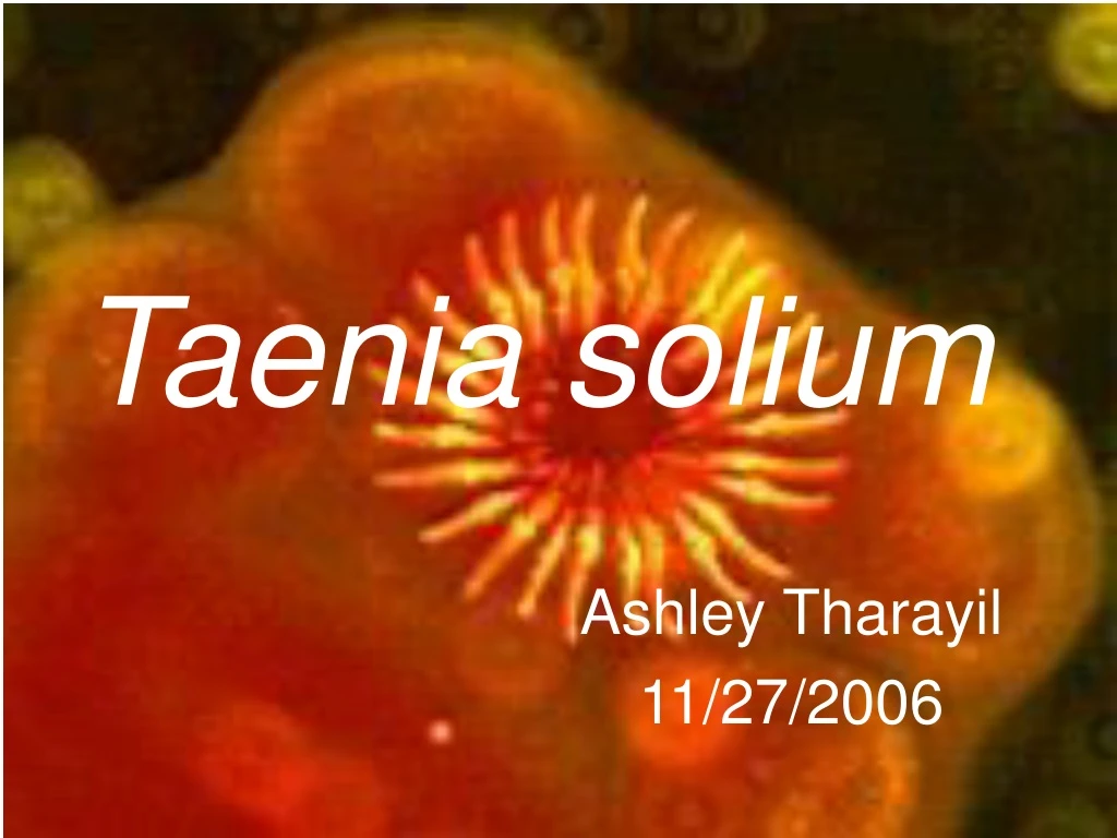 PPT - Taenia solium PowerPoint Presentation, free download - ID:9157708