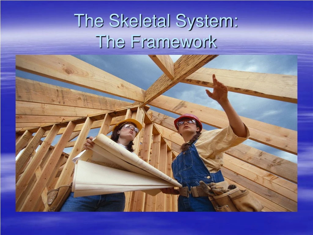 PPT - The Skeletal System: The Framework PowerPoint Presentation, free ...