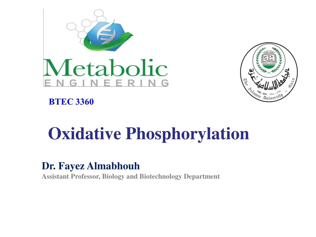PPT - Oxidative Phosphorylation PowerPoint Presentation, free download ...