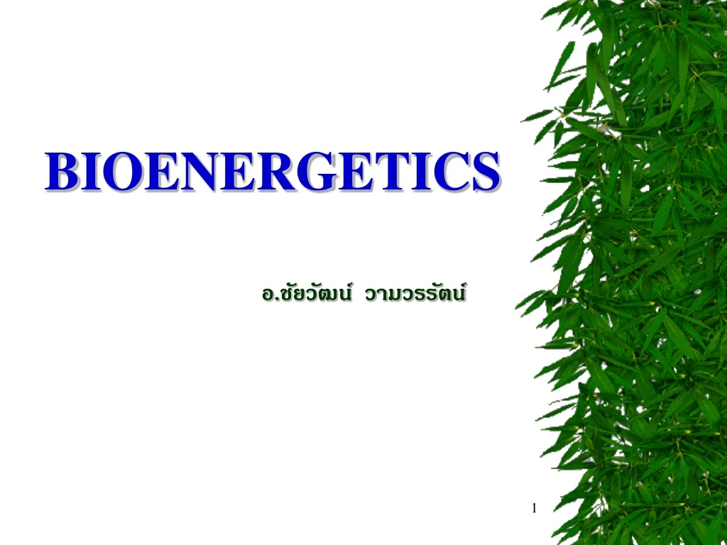 PPT - BIOENERGETICS PowerPoint Presentation, free download - ID:9164511
