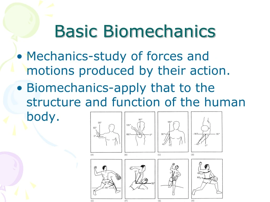 PPT - Basic Biomechanics PowerPoint Presentation, free download - ID ...