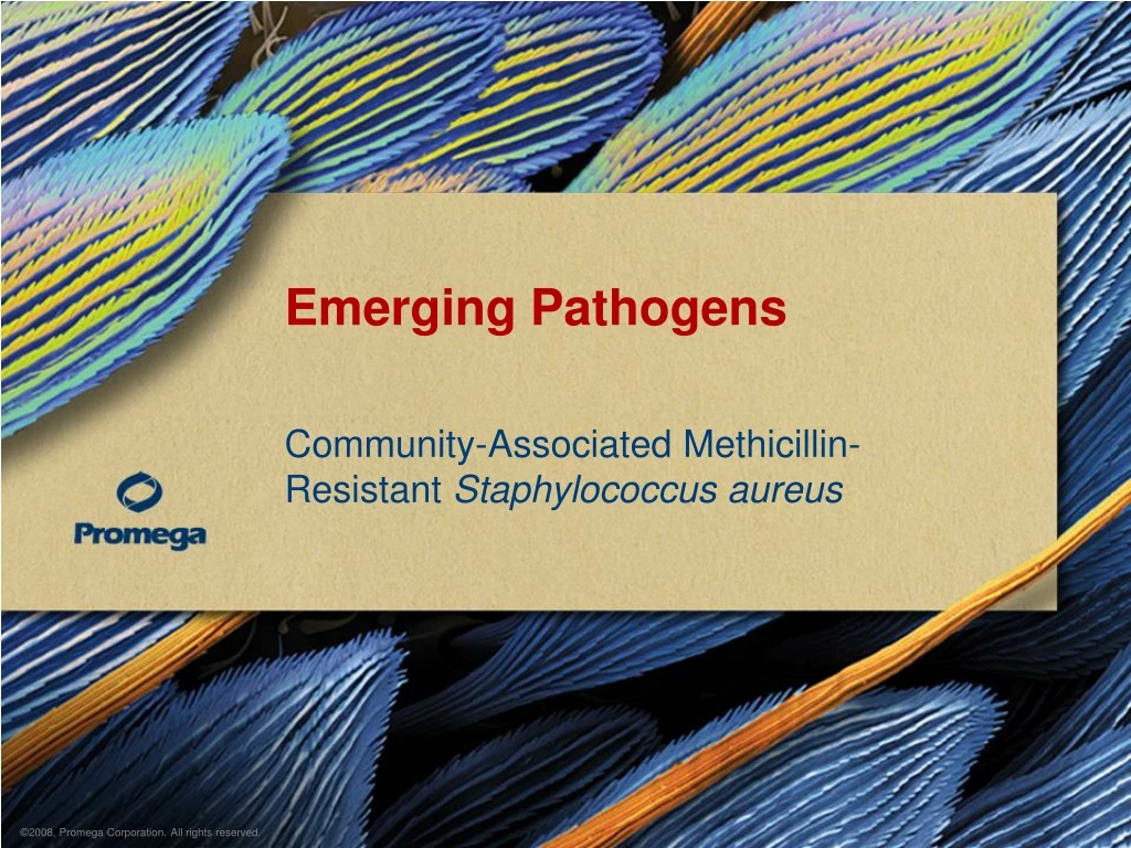PPT - Emerging Pathogens PowerPoint Presentation, free download - ID ...