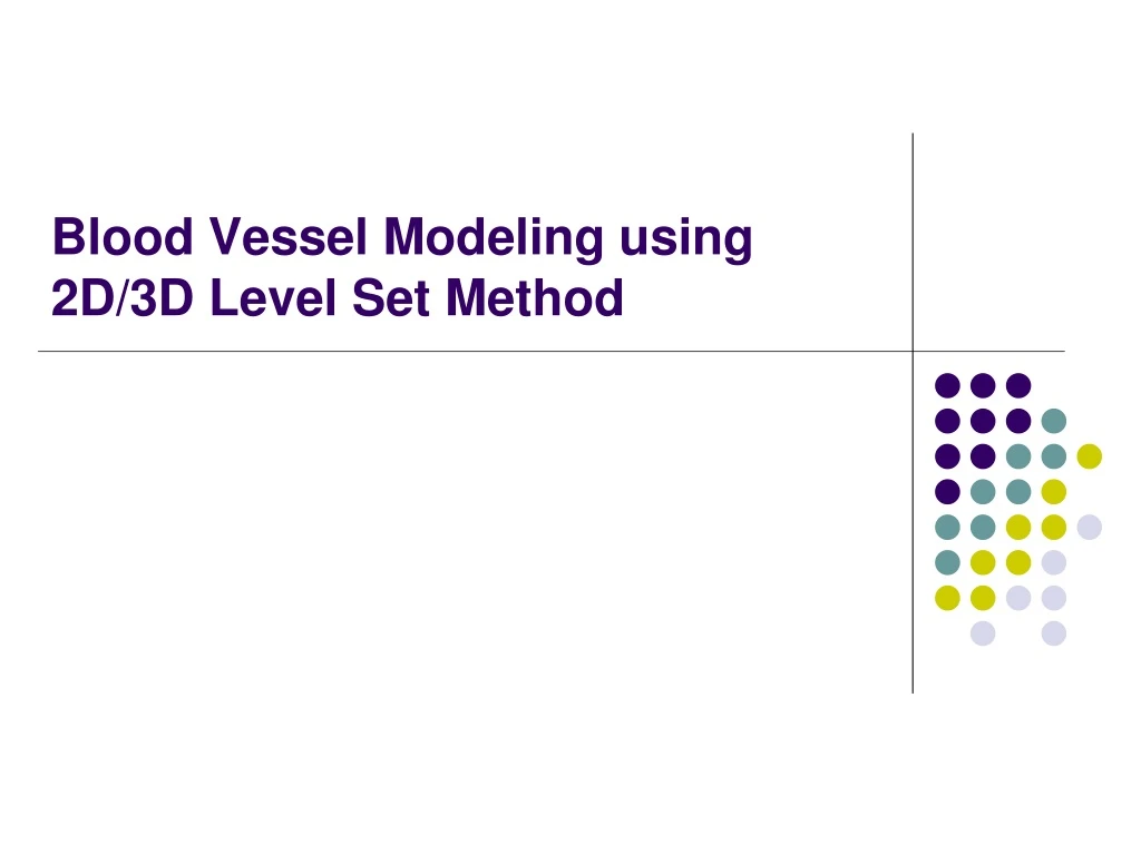 PPT - Blood Vessel Modeling using 2D/3D Level Set Method PowerPoint ...