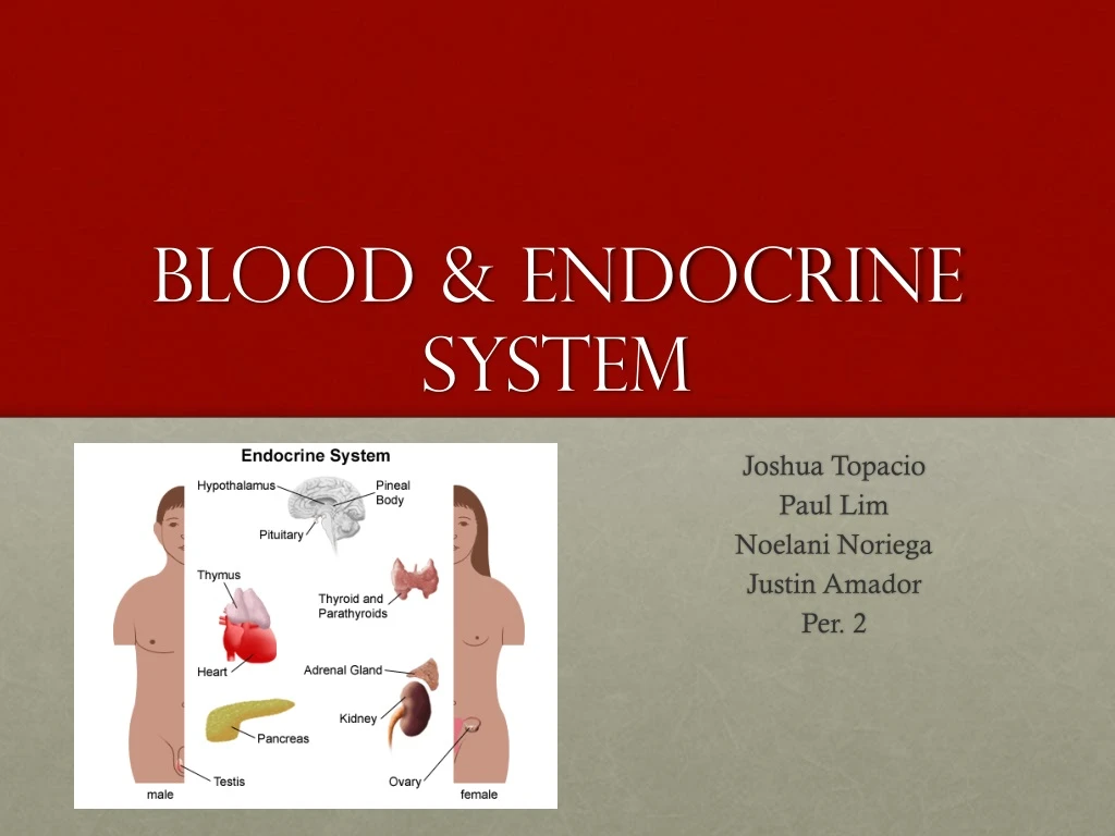 PPT - Blood & Endocrine System PowerPoint Presentation, free download ...