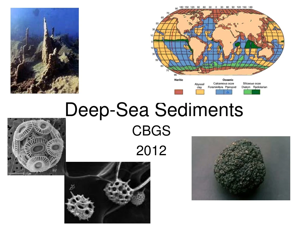 PPT - Deep-Sea Sediments PowerPoint Presentation, free download - ID ...