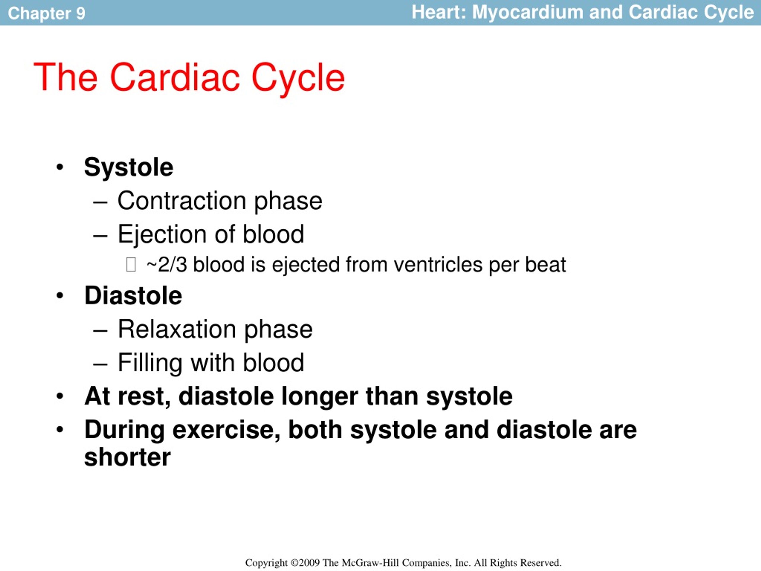 Ppt Circulatory Adaptations To Exercise Powerpoint Presentation Free