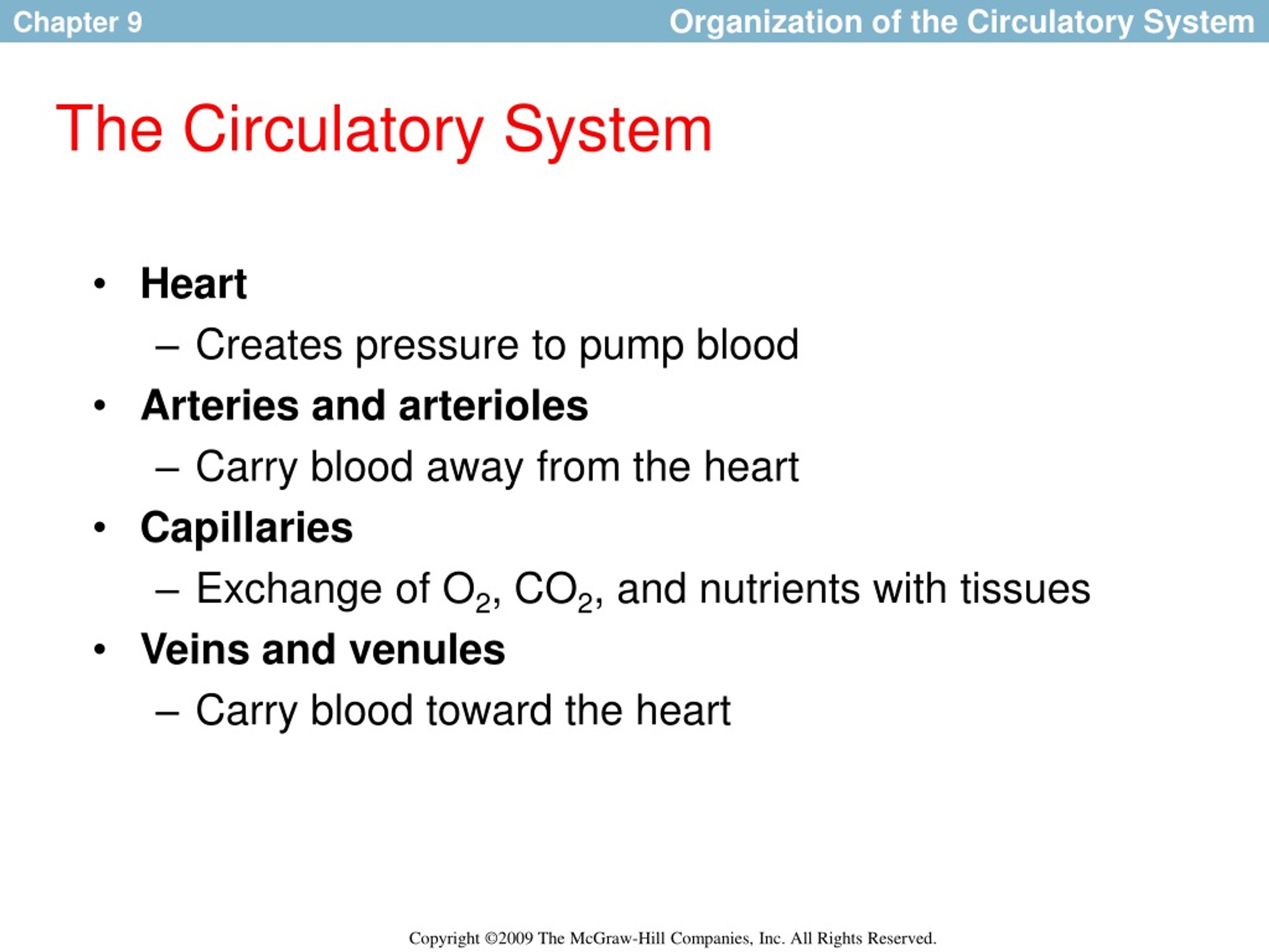 Ppt Circulatory Adaptations To Exercise Powerpoint Presentation Free