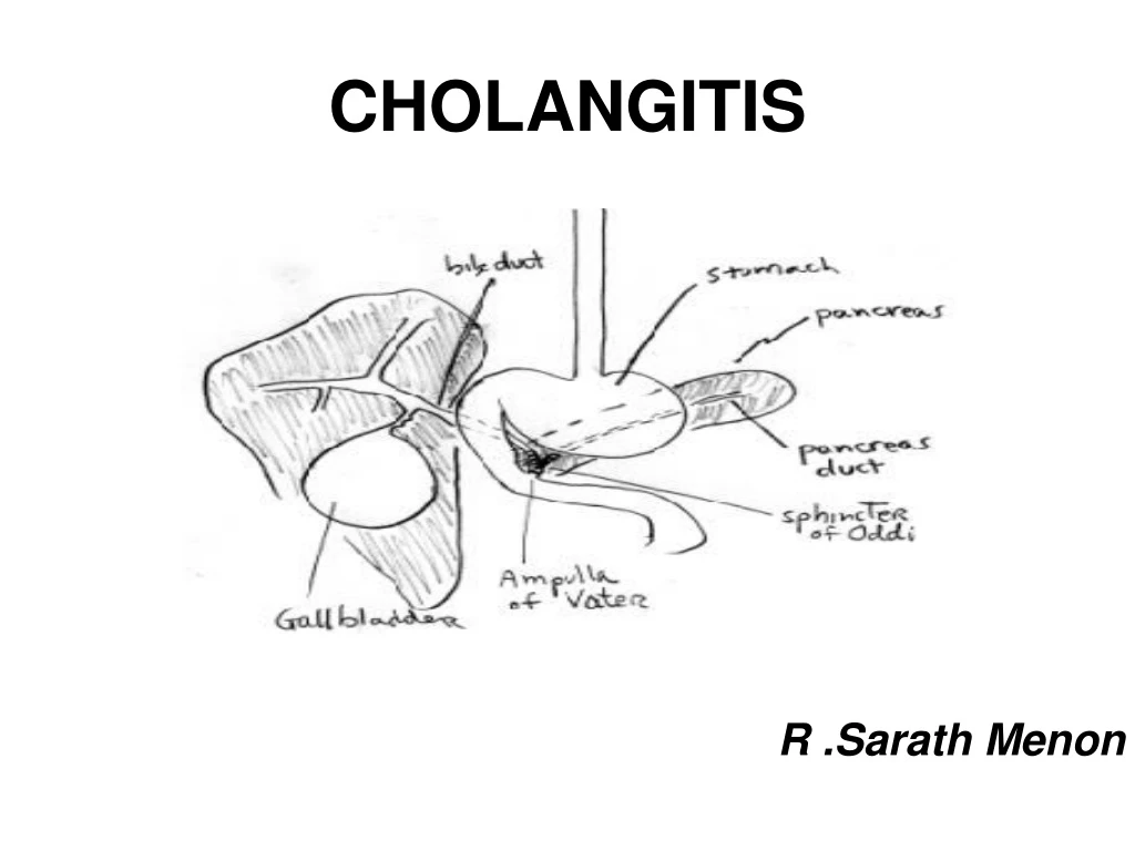 PPT - CHOLANGITIS PowerPoint Presentation, free download - ID:9177555