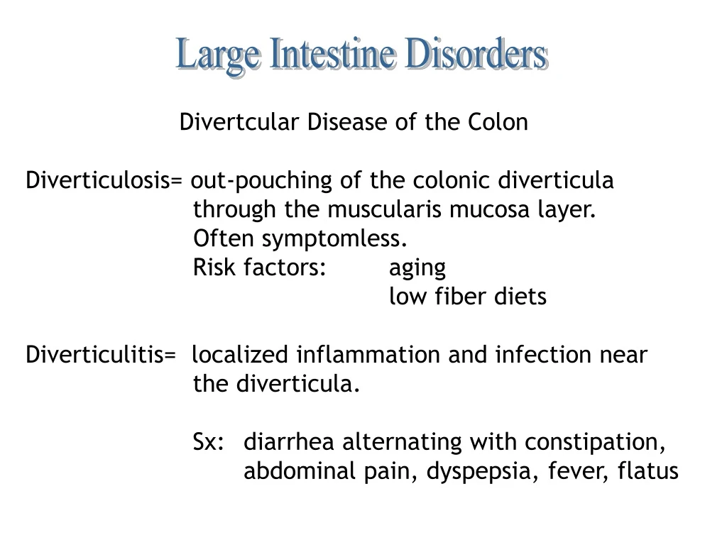PPT - Large Intestine Disorders PowerPoint Presentation, free download ...