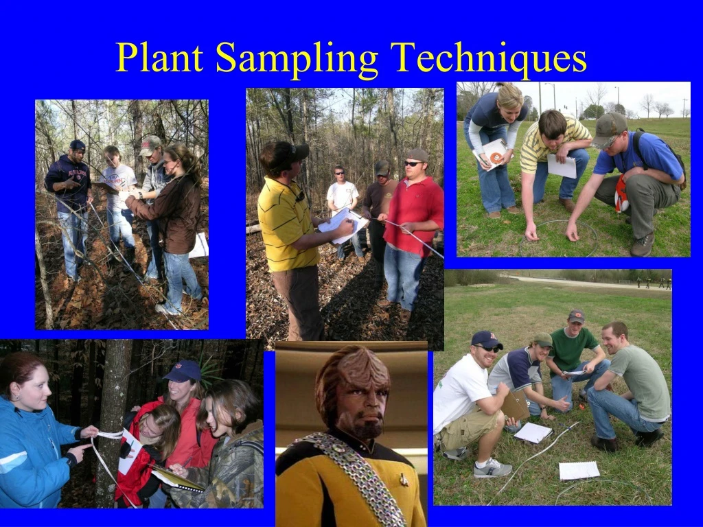PPT - Plant Sampling Techniques PowerPoint Presentation, free download ...