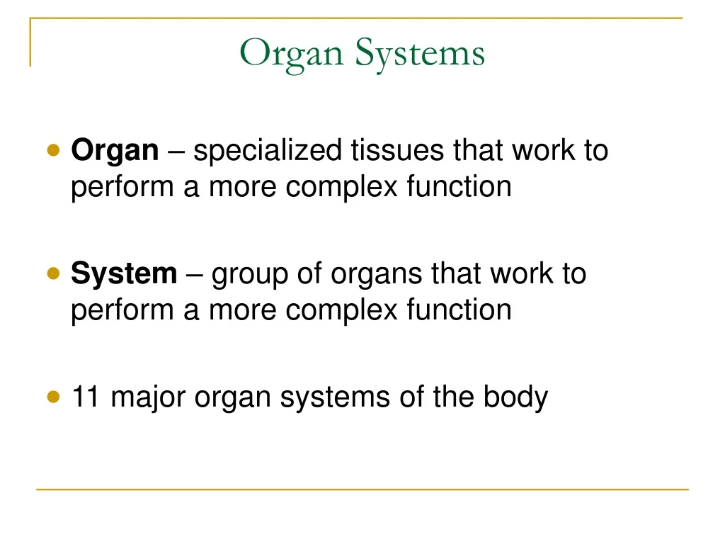PPT - Organ Systems PowerPoint Presentation, free download - ID:9184258