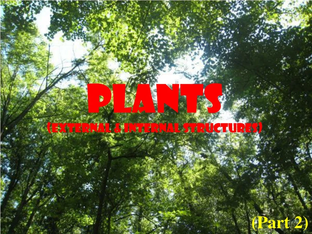 PPT - PLANTS (External & Internal Structures) PowerPoint Presentation ... PPT - PLANTS (External & Internal Structures) PowerPoint Presentation ...