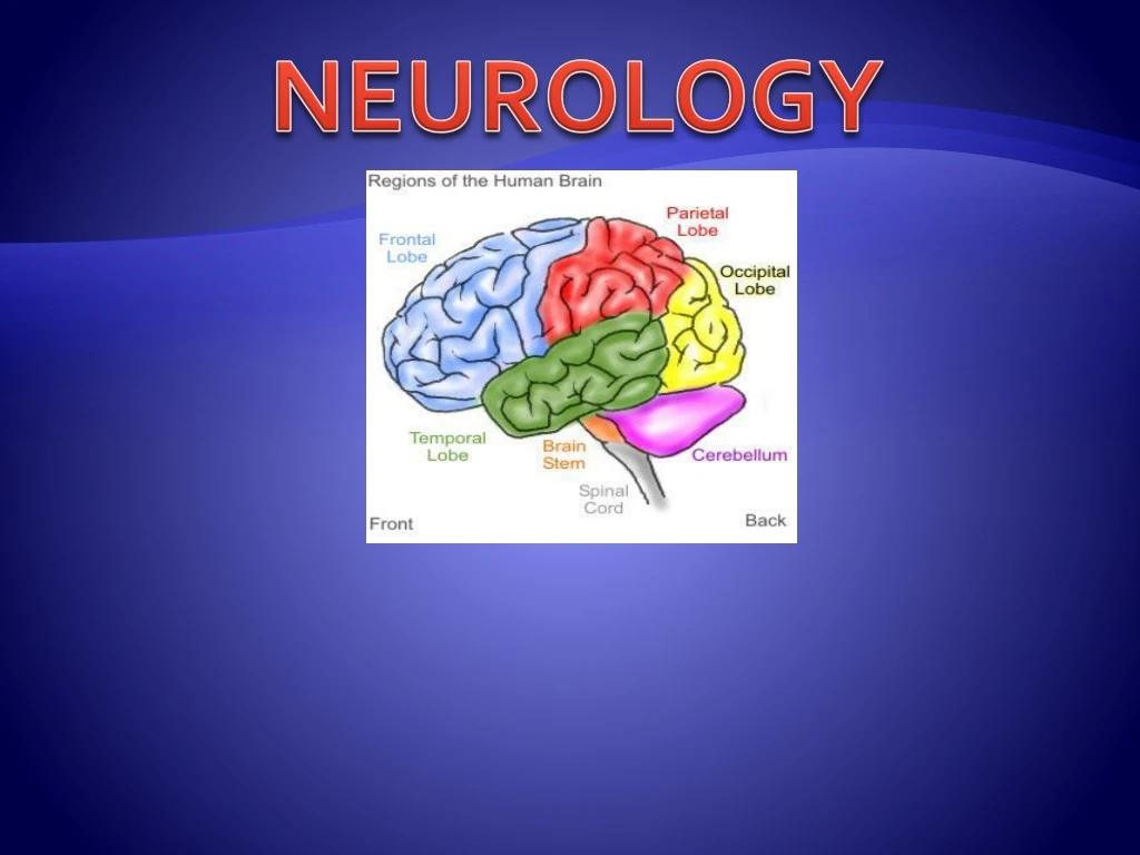 PPT - NEUROLOGY PowerPoint Presentation, free download - ID:9189307