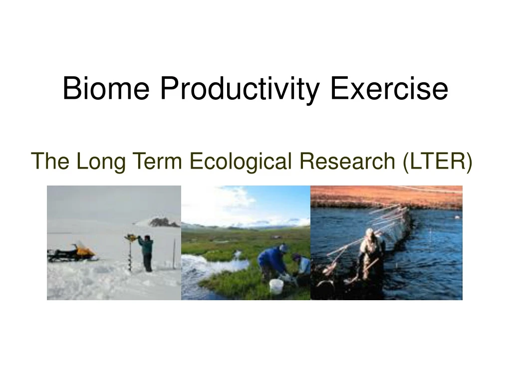 PPT - Biome Productivity Exercise PowerPoint Presentation, free ...