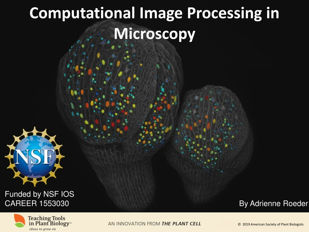 PPT - Computational Image Processing in Microscopy PowerPoint ...