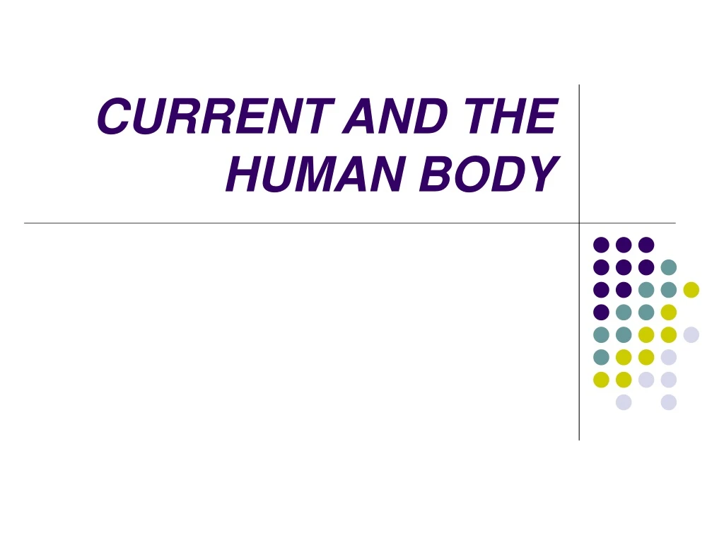 PPT - CURRENT AND THE HUMAN BODY PowerPoint Presentation, free download ...
