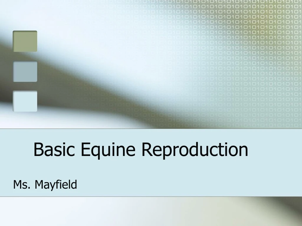 PPT - Basic Equine Reproduction PowerPoint Presentation, free download ...