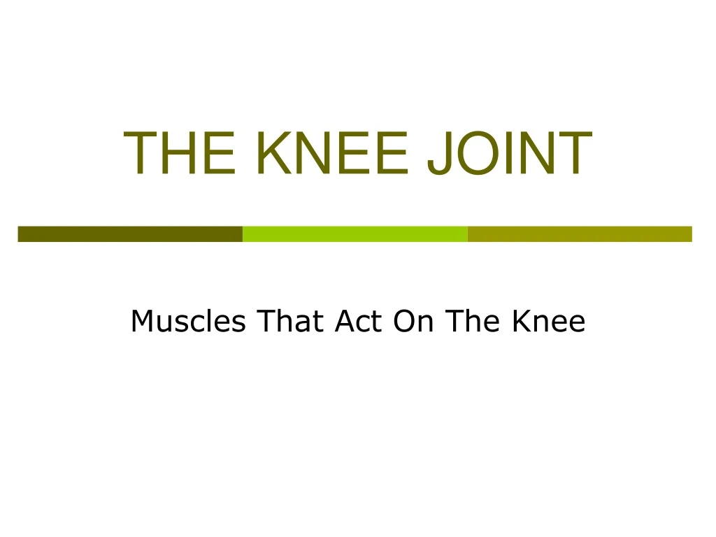 PPT - THE KNEE JOINT PowerPoint Presentation, free download - ID:9194610