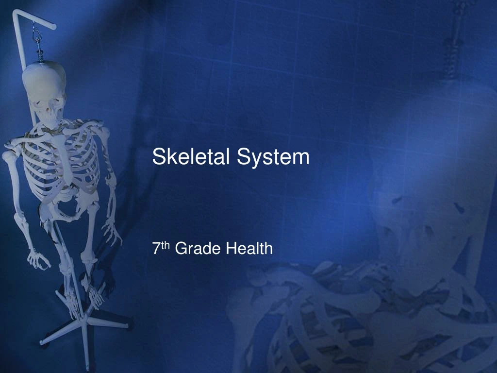 PPT - Skeletal System PowerPoint Presentation, free download - ID:9194802 PPT - Skeletal System PowerPoint Presentation, free download - ID:9194802