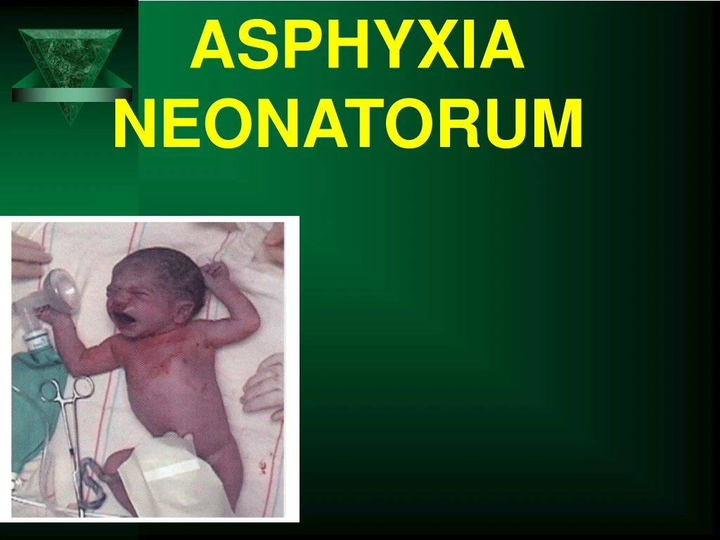 PPT - ASPHYXIA NEONATORUM PowerPoint Presentation, free download - ID ...