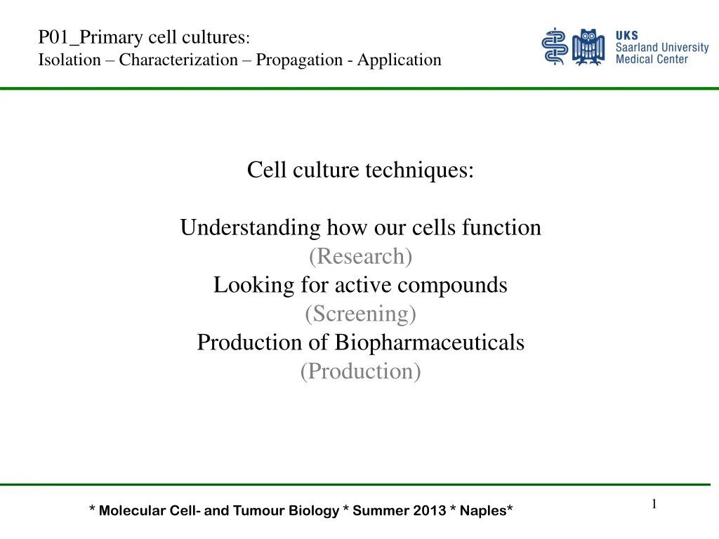 PPT - P01_Primary cell cultures : Isolation – Characterization ...