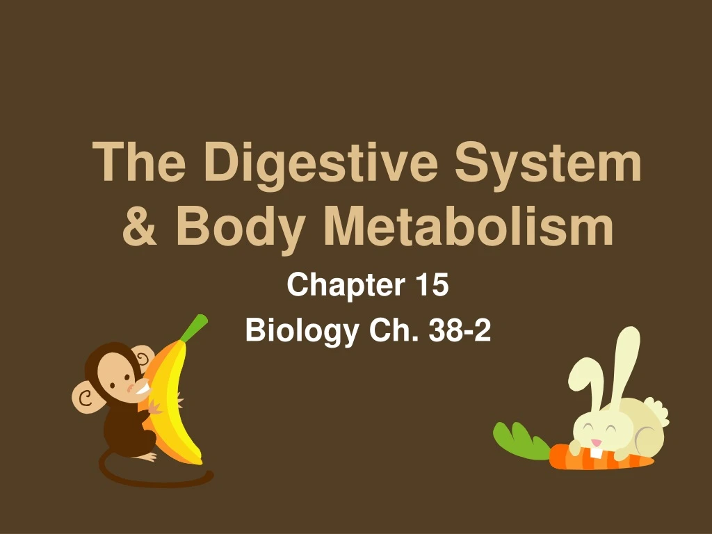 PPT - The Digestive System & Body Metabolism PowerPoint Presentation ...