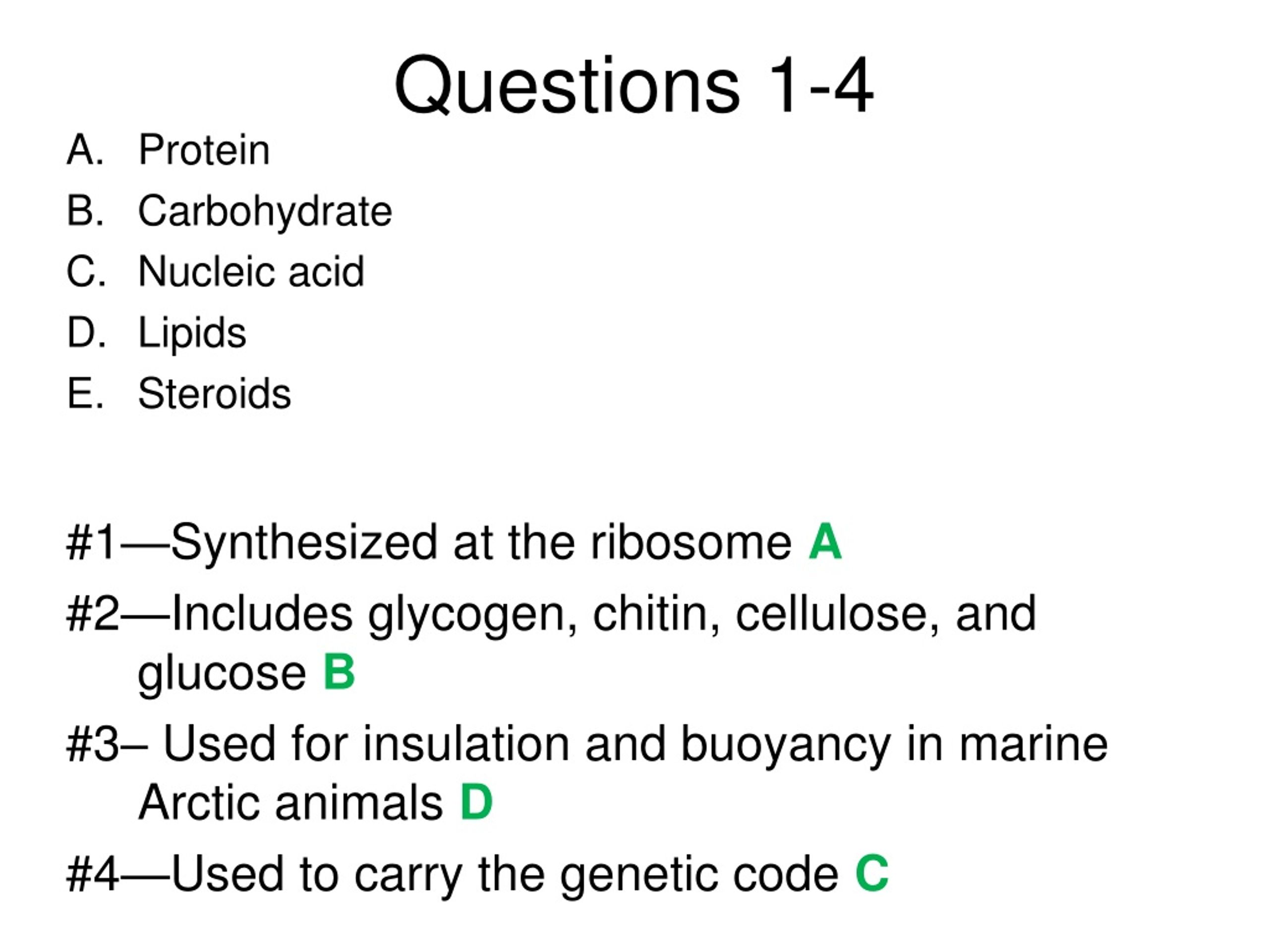 PPT - The 20 Amino Acids of Proteins PowerPoint Presentation, free ...
