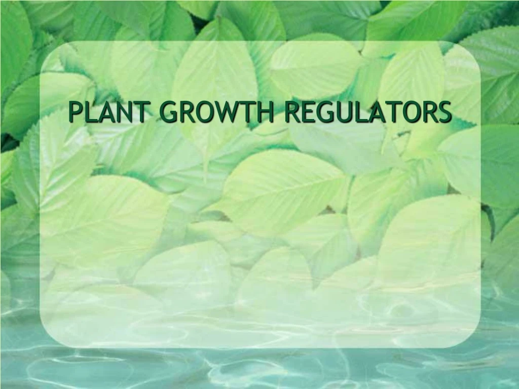 PPT - PLANT GROWTH REGULATORS PowerPoint Presentation, free download ...