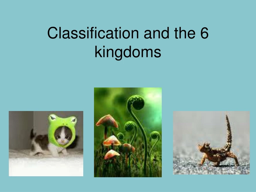 PPT - Classification and the 6 kingdoms PowerPoint Presentation, free ...