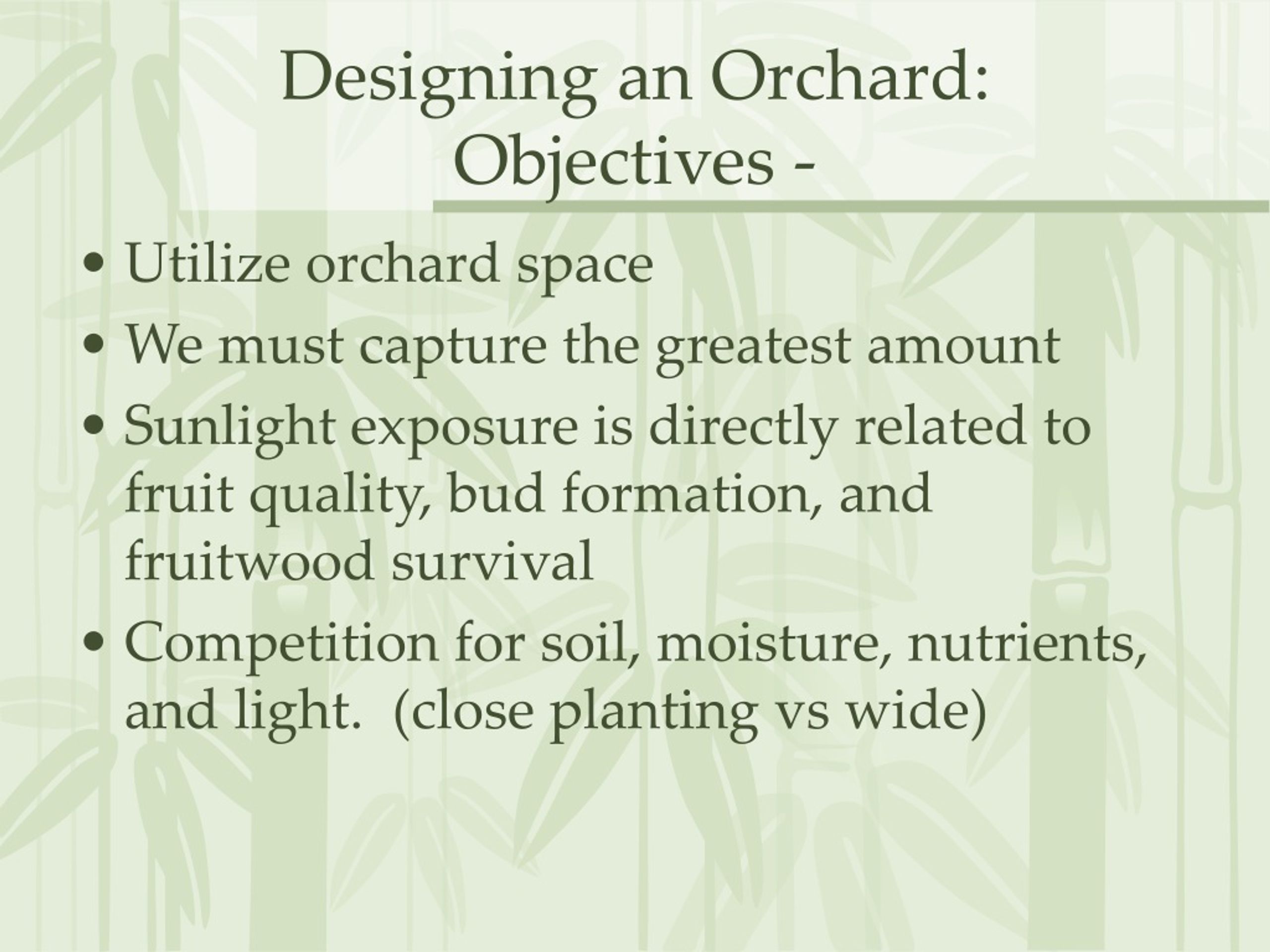 PPT - Maximizing Orchard Yield: Key Factors & Considerations PowerPoint ...