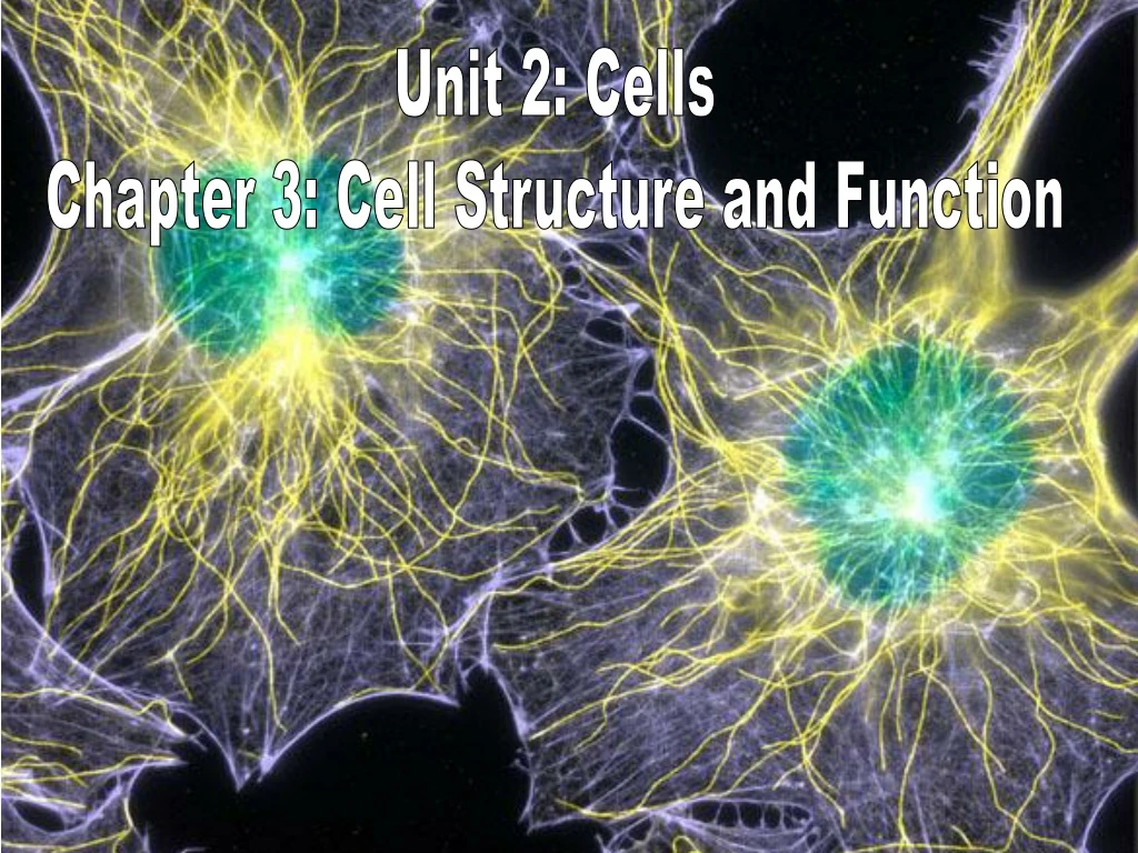 PPT - Unit 2: Cells Chapter 3: Cell Structure and Function PowerPoint Presentation - ID:9211733