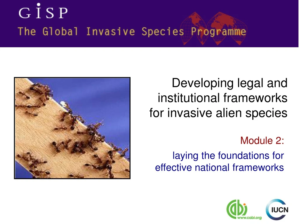 PPT - Module 2: laying the foundations for effective national ...