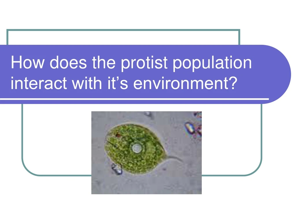 PPT - How does the protist population interact with it’s environment ...