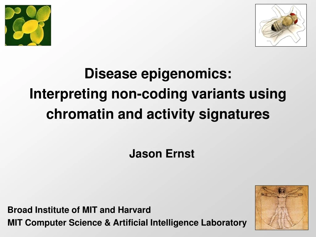 PPT - Disease epigenomics: Interpreting non-coding variants using chromatin and activity ...