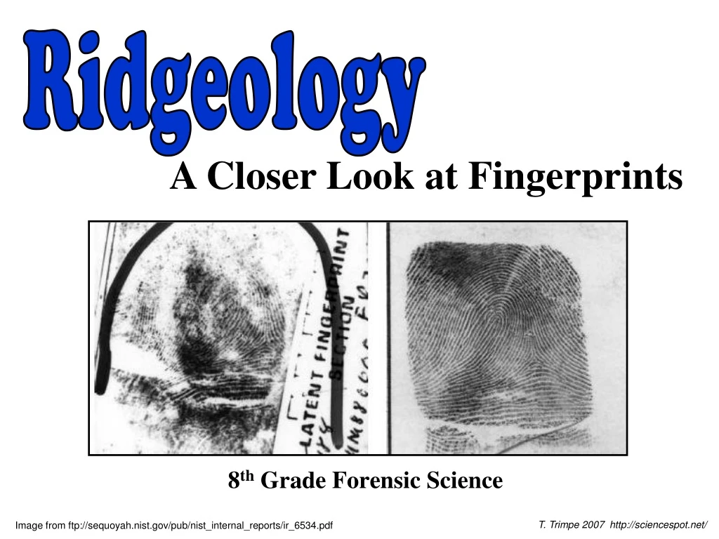 PPT - 8 th Grade Forensic Science PowerPoint Presentation, free ...