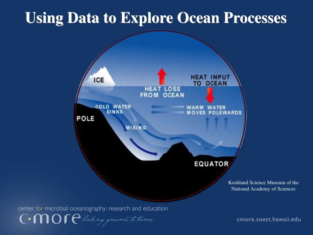 PPT - Using Data to Explore Ocean Processes PowerPoint Presentation ...