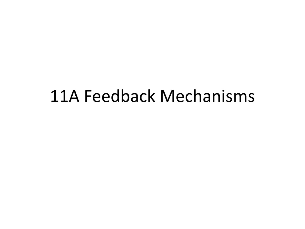 PPT - 11A Feedback Mechanisms PowerPoint Presentation, free download ...