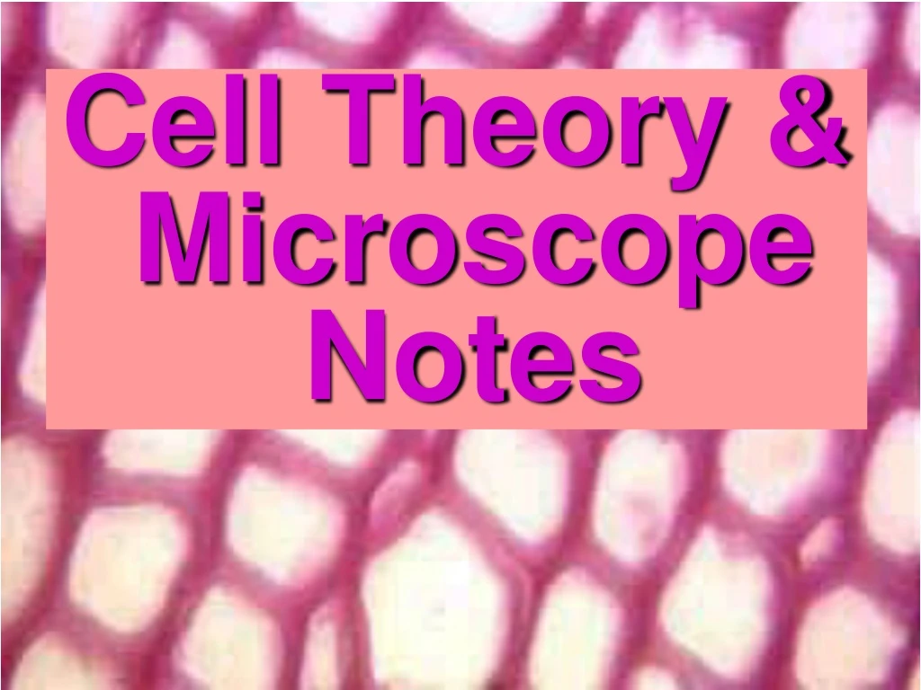 PPT - Cell Theory & Microscope Notes PowerPoint Presentation, free ...
