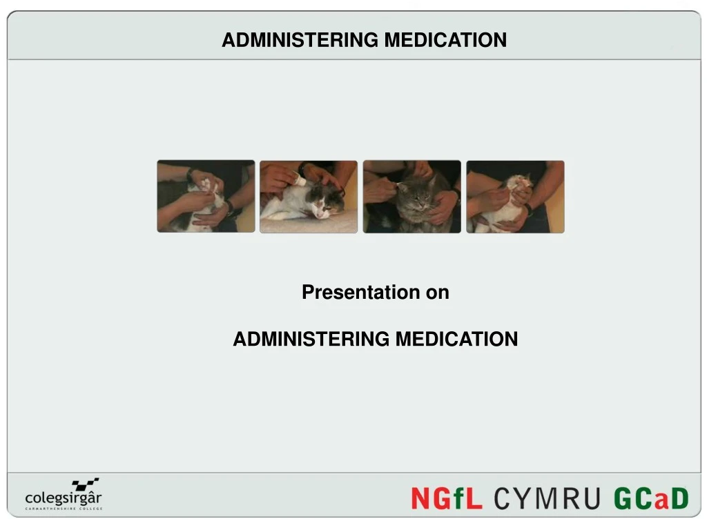 PPT - ADMINISTERING MEDICATION PowerPoint Presentation, free download ...