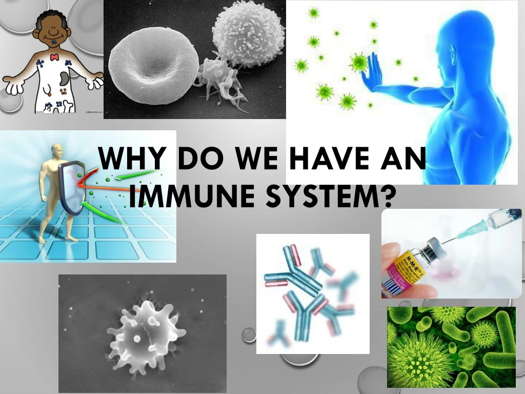 PPT - Why do we have an immune system? PowerPoint Presentation, free ...