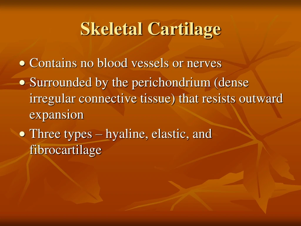 PPT - Skeletal Cartilage PowerPoint Presentation, free download - ID ...