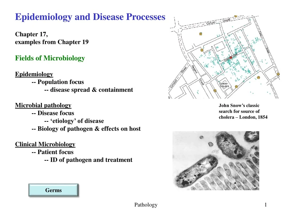 PPT - Epidemiology and Disease Processes Chapter 17, examples from ...