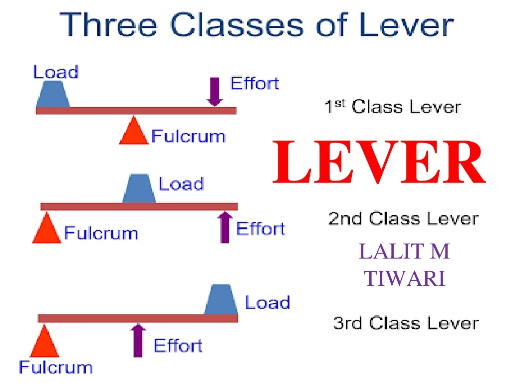 PPT - LEVER PowerPoint Presentation, free download - ID:9243296