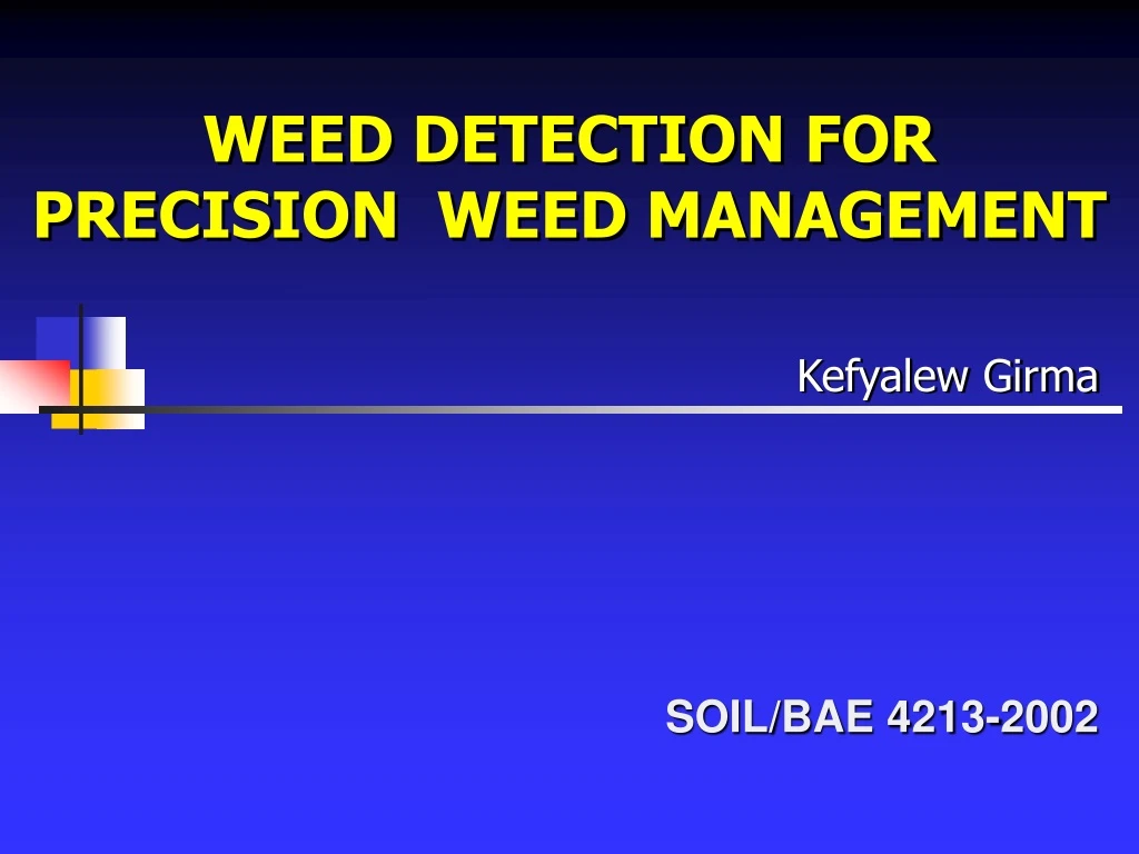 PPT - WEED DETECTION FOR PRECISION WEED MANAGEMENT PowerPoint ...